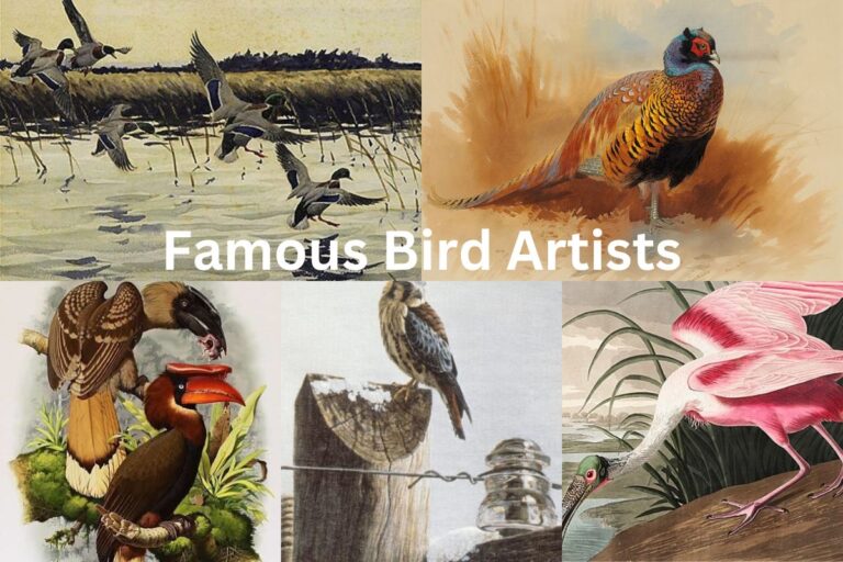 Bird Artists - 10 Most Famous - Artst