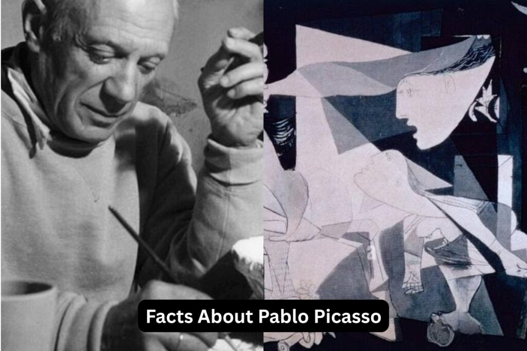 10 Facts About Pablo Picasso - Artst